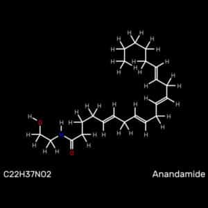 Anandamide Supplements - How The Bliss Molecule Works