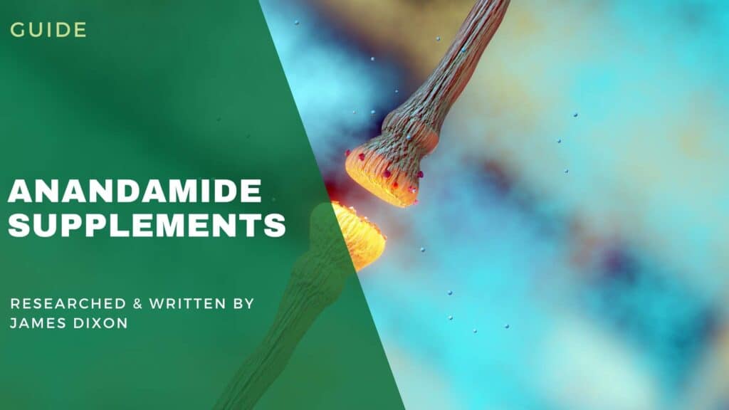 Anandamide Supplements - How The Bliss Molecule Works
