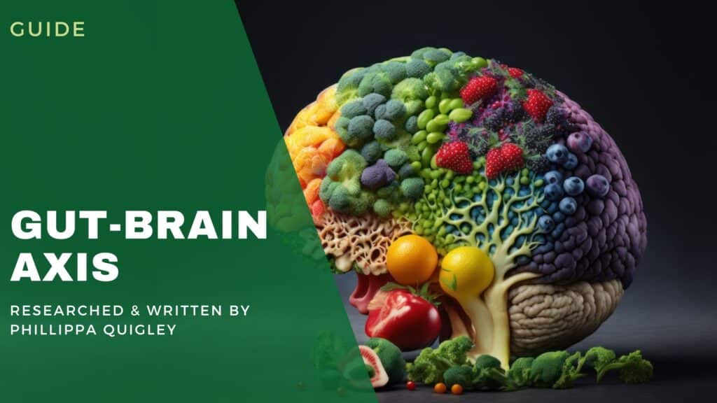 Gut-Brain Axis - What It Is & Why It Matters