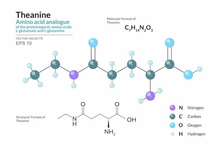L-Theanine And Anxiety - SOMA Analytics